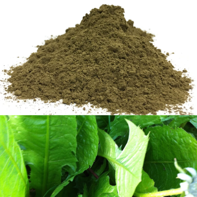 Herbs Containing Tannins - ital is vital